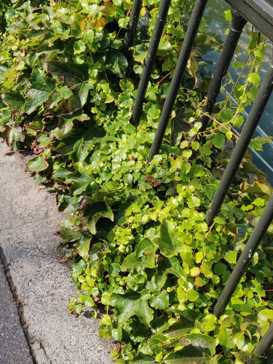 BiotifulVie - La végétalisation urbaine: 6 exemples à Paris